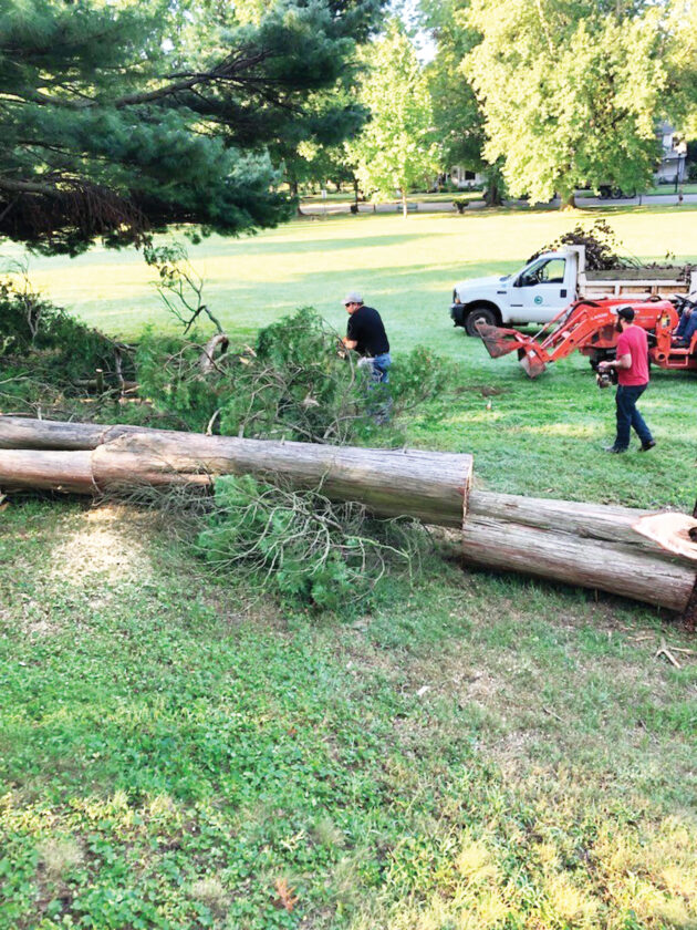 Marietta Tree Commission receives $300k in ARPA funds | News, Sports ...